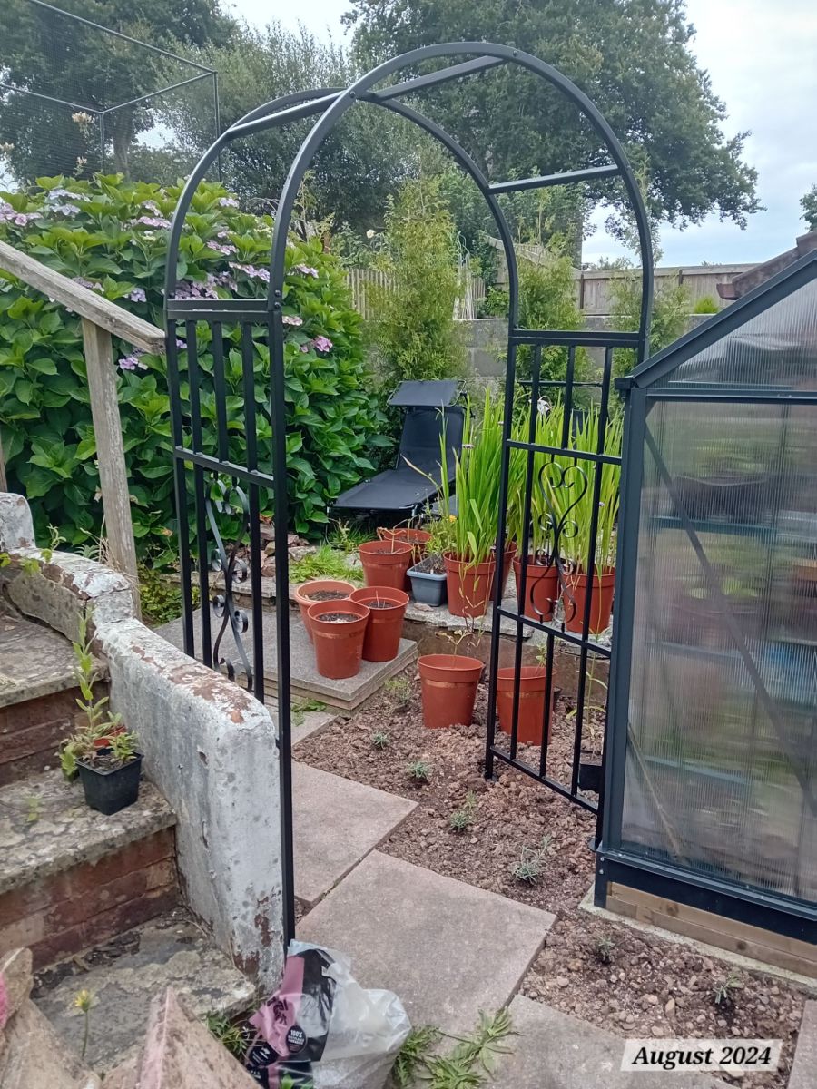 Introducing a new area of the garden: The Suntrap – The Charming Nook
